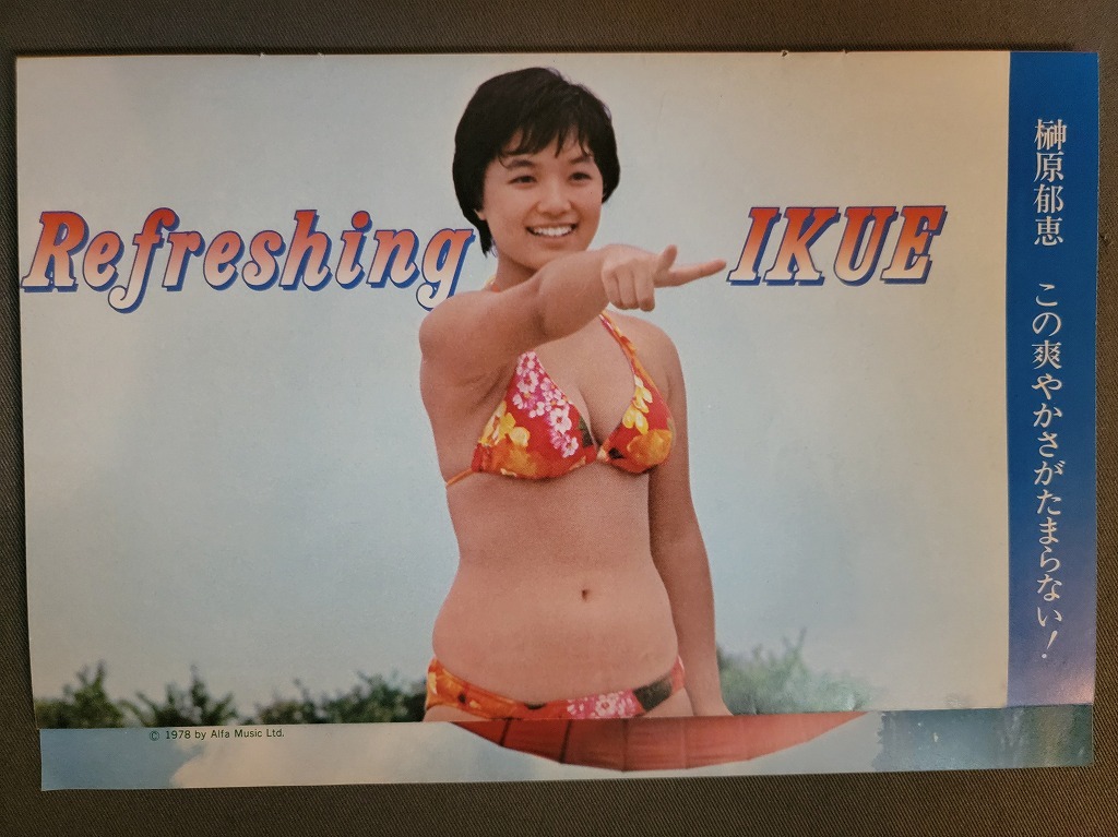 榊原郁恵 ピンナップ/Z /【Buyee】 Buyee - Japanese Proxy Service | Buy from Japan!