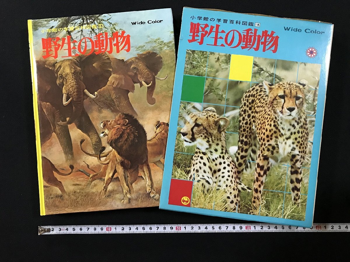 w 野生の動物 小学館の学習百科図鑑18 昭和53年3刷 小学館 古書 / De02 /【Buyee】 Buyee - Japanese Proxy Service | Buy from Japan!