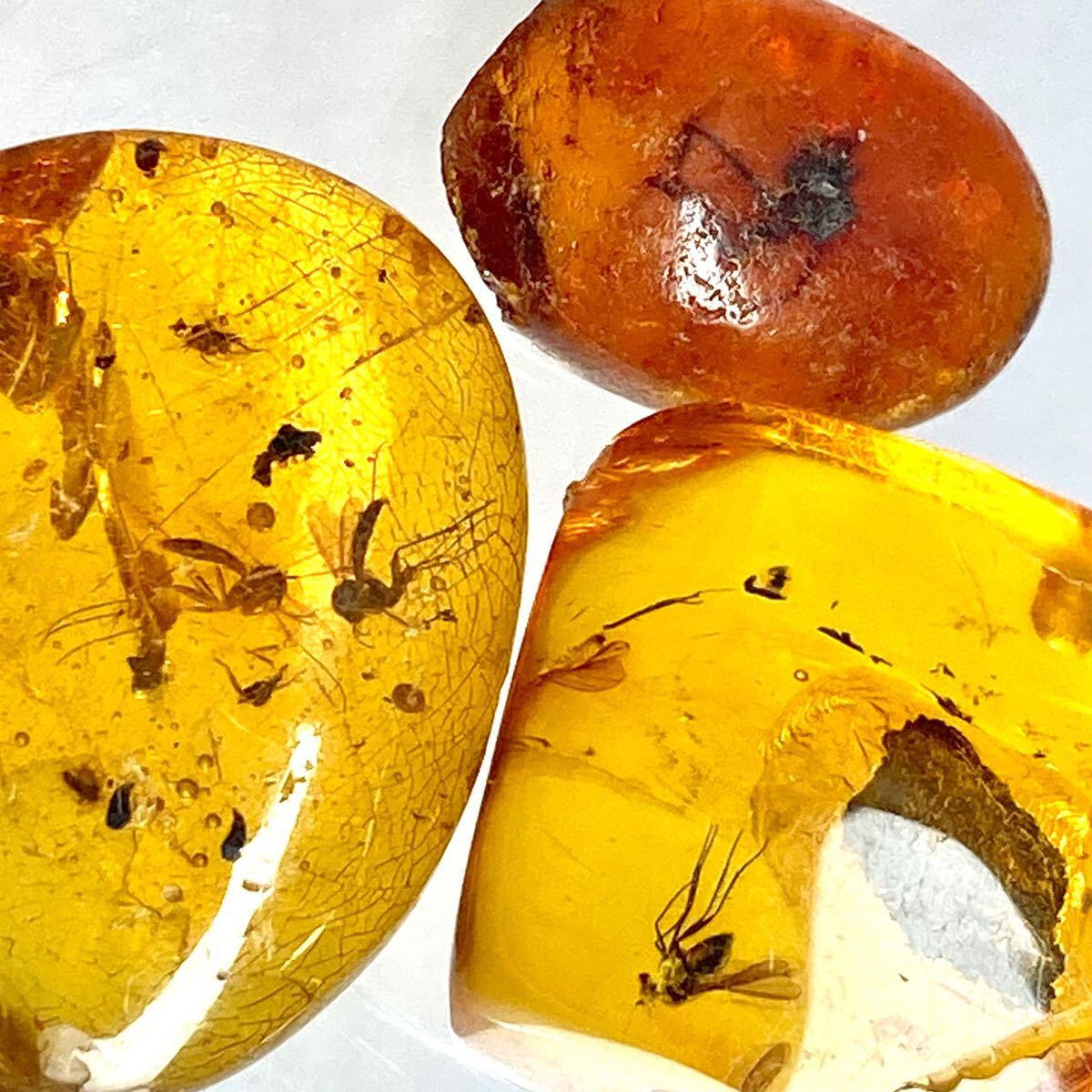 虫入り!![天然本琥珀3点おまとめ27.5ct]O ルース 裸石 宝石 ジュエリー jewelry amber コハク こはく アンバー w5余43 /【Buyee】 Buyee ...